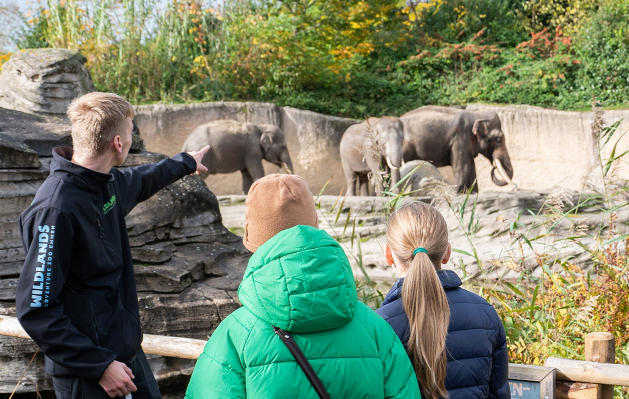 WILDLANDS Adventure Zoo | Win met korting | VakantieVeilingen